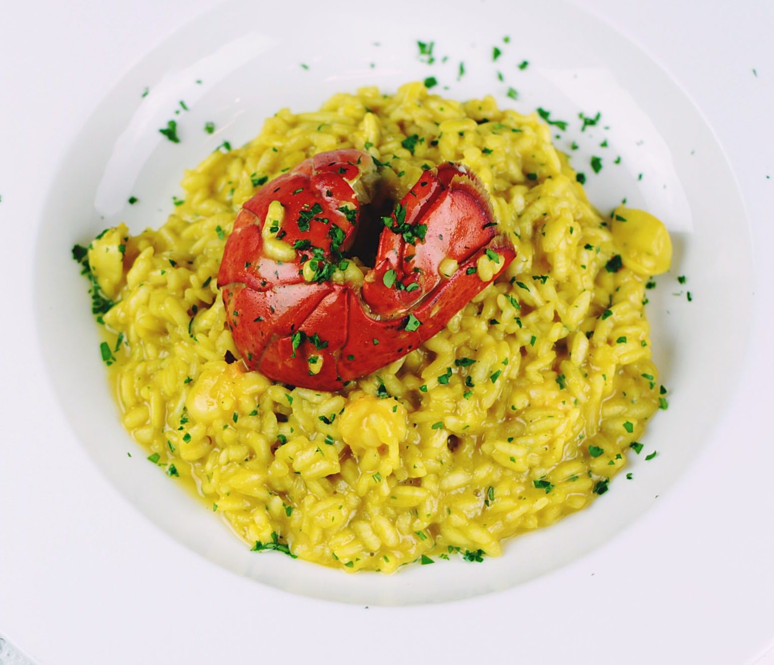 Make Spicy Pangrattato Risotto With Your Stale Bread - foodisinthehouse.com