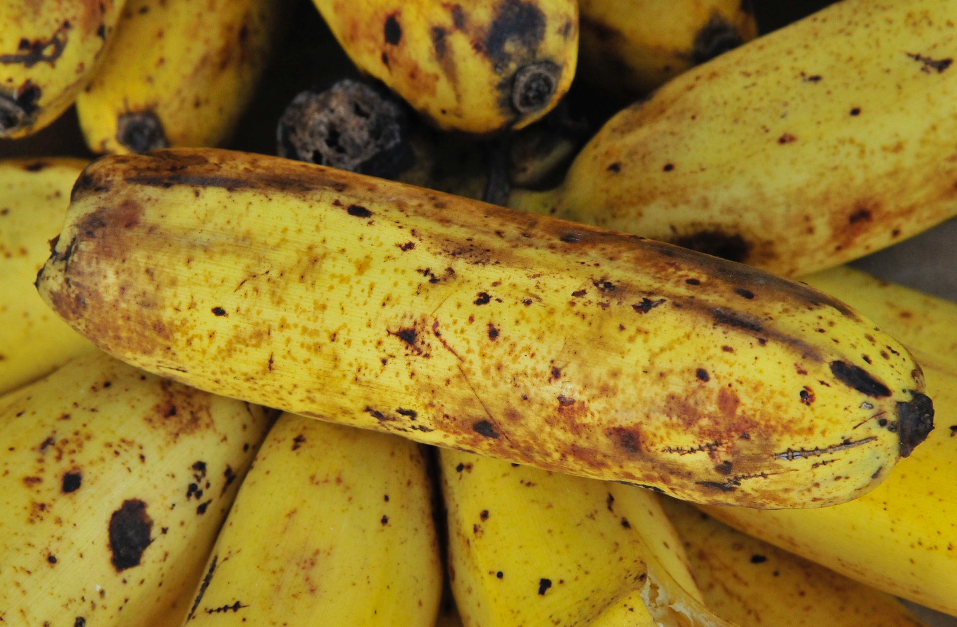 Delicious Ways to Use Up Ripe Bananas - foodisinthehouse.com