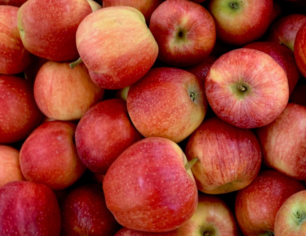 Best Ways to Stop Cut Apples from Turning Brown - foodisinthehouse.com